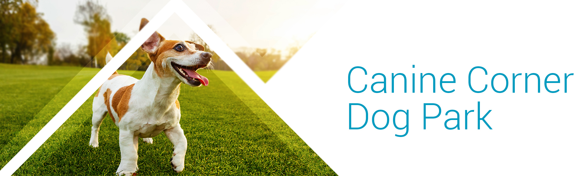Are Dog Parks Safe For Puppies Are Dog Parks Safe For Puppies